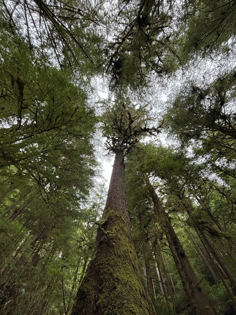 Oregon - The North Coast - Quick Trip Adventures